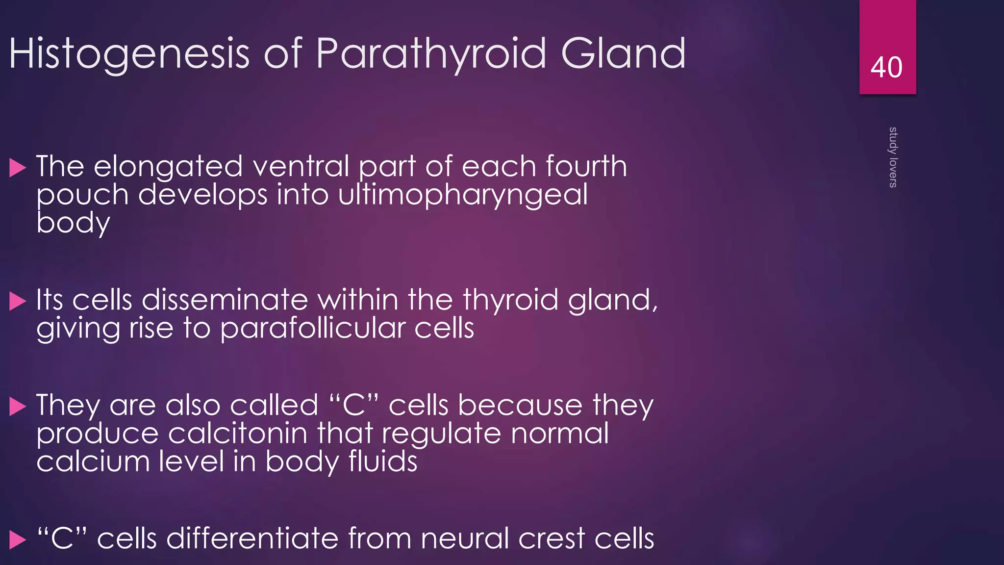 Pharyngeal arches pouches and clefts | PPTX