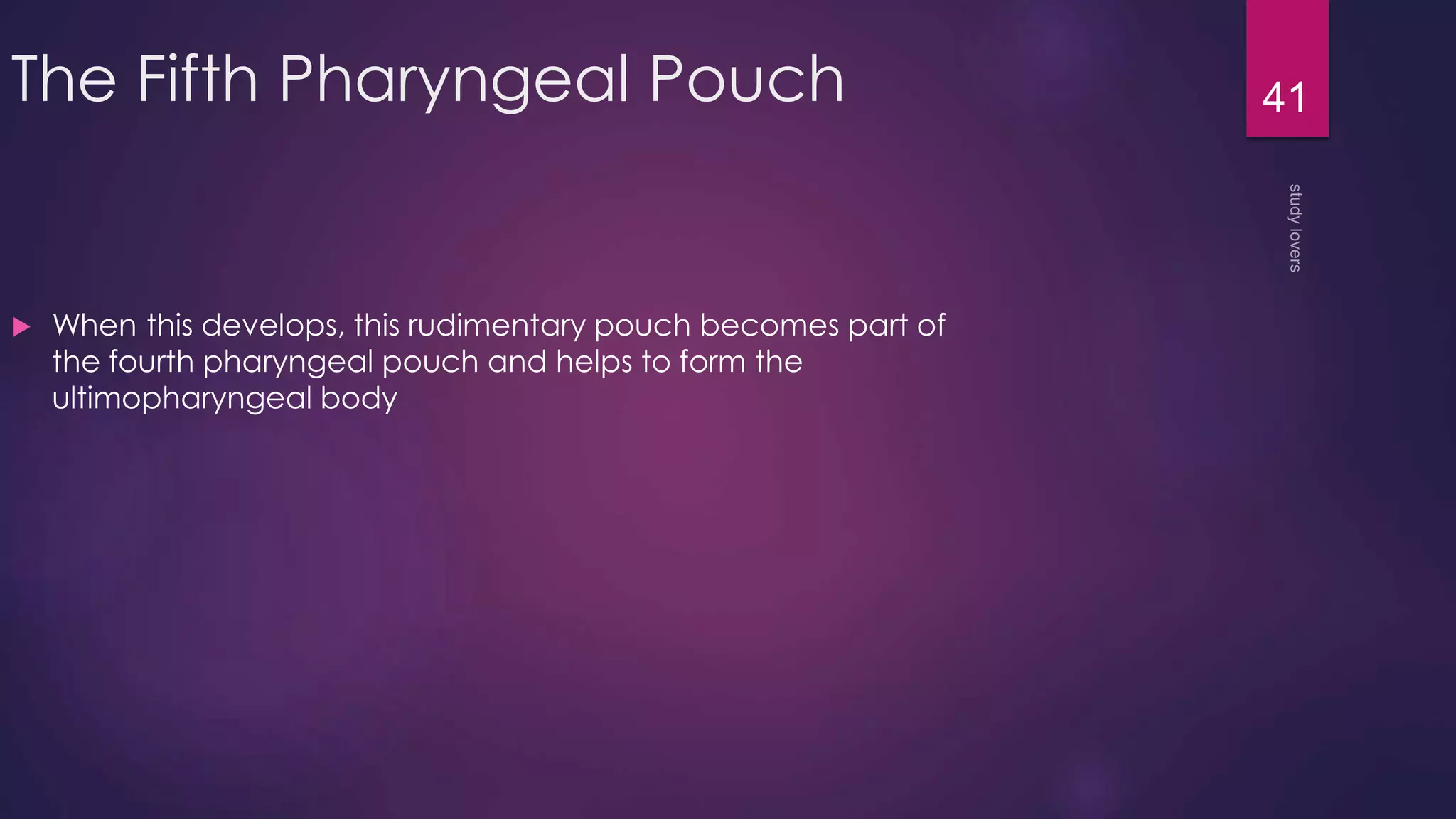 Pharyngeal arches pouches and clefts | PPTX