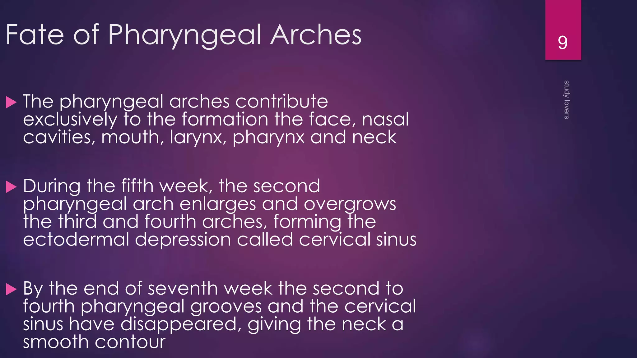 Pharyngeal arches pouches and clefts | PPTX