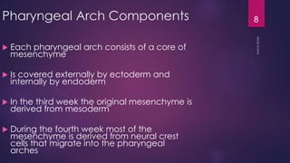 Pharyngeal arches pouches and clefts | PPTX