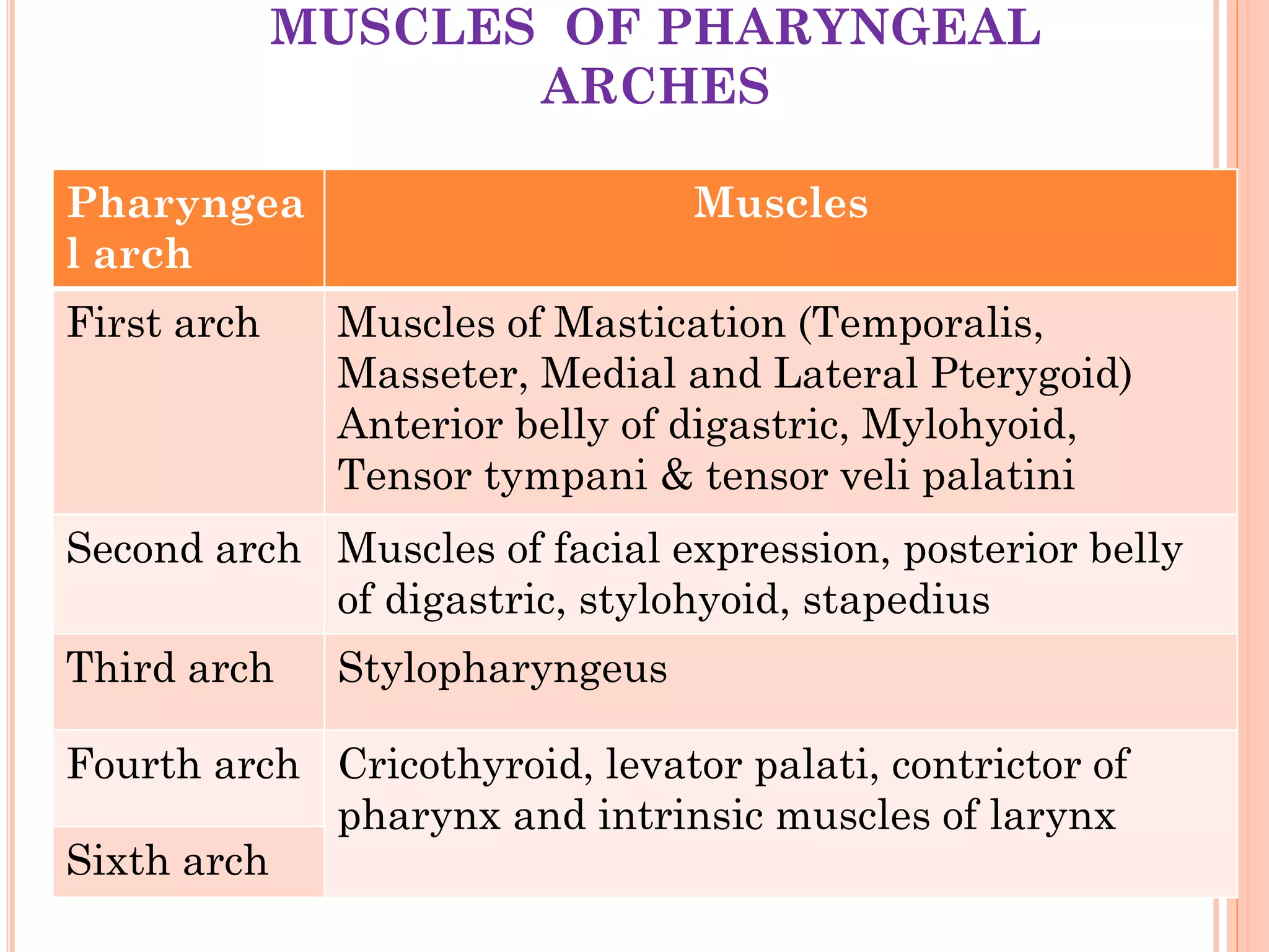 Pharyngeal apparatus | PDF