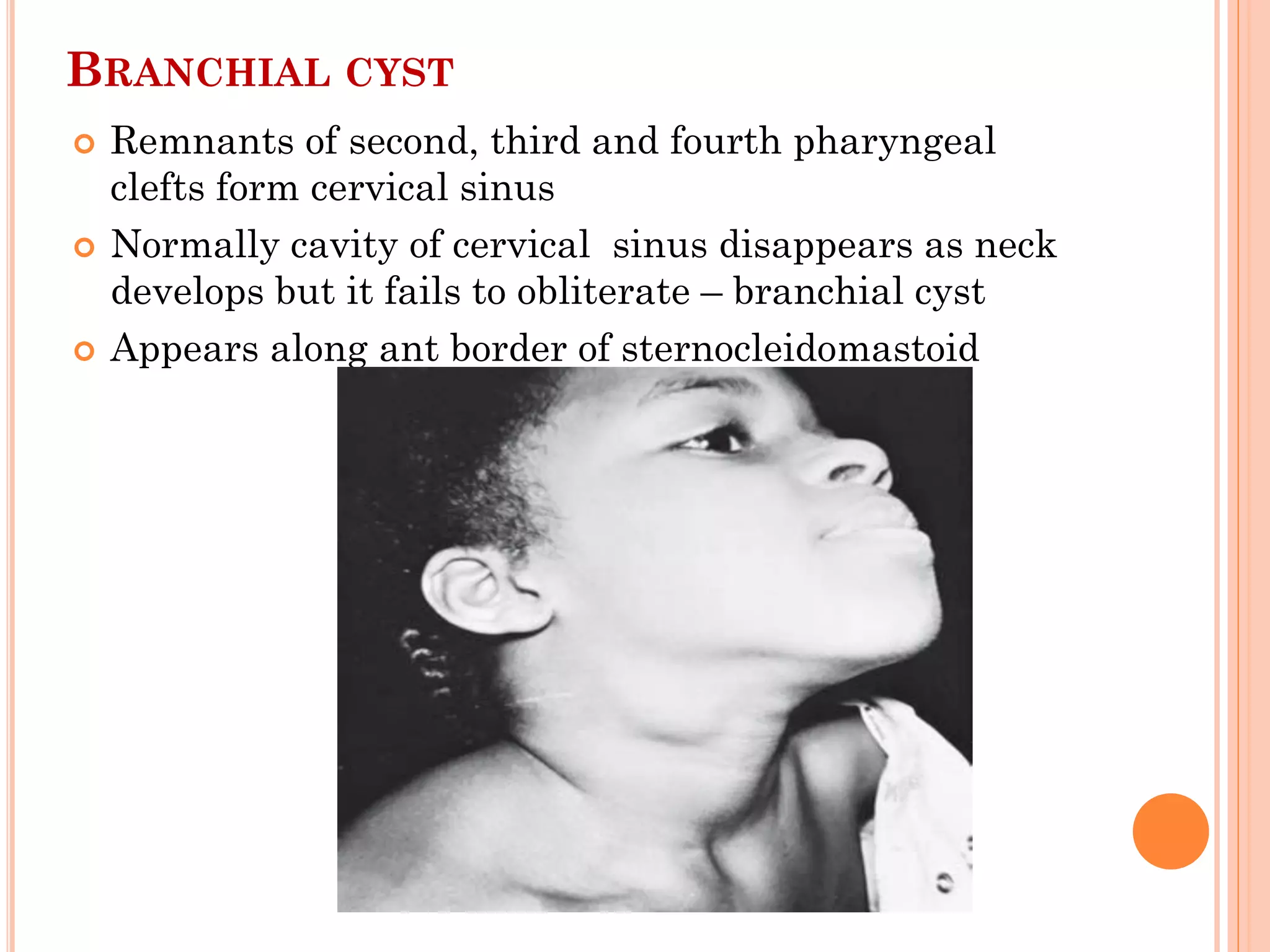 Pharyngeal apparatus | PDF