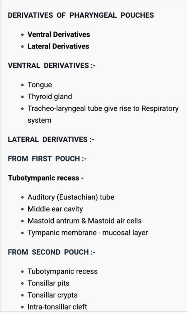 Pharyngeal apparatus &pharyngeal pouches and their derivatives(Part-2 ...