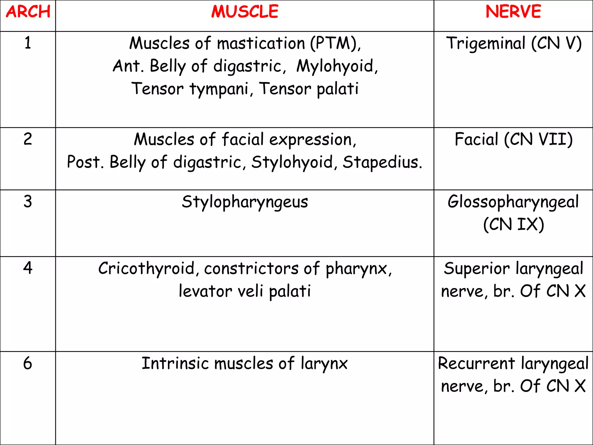 Pharyngeal apparatus | PPTX