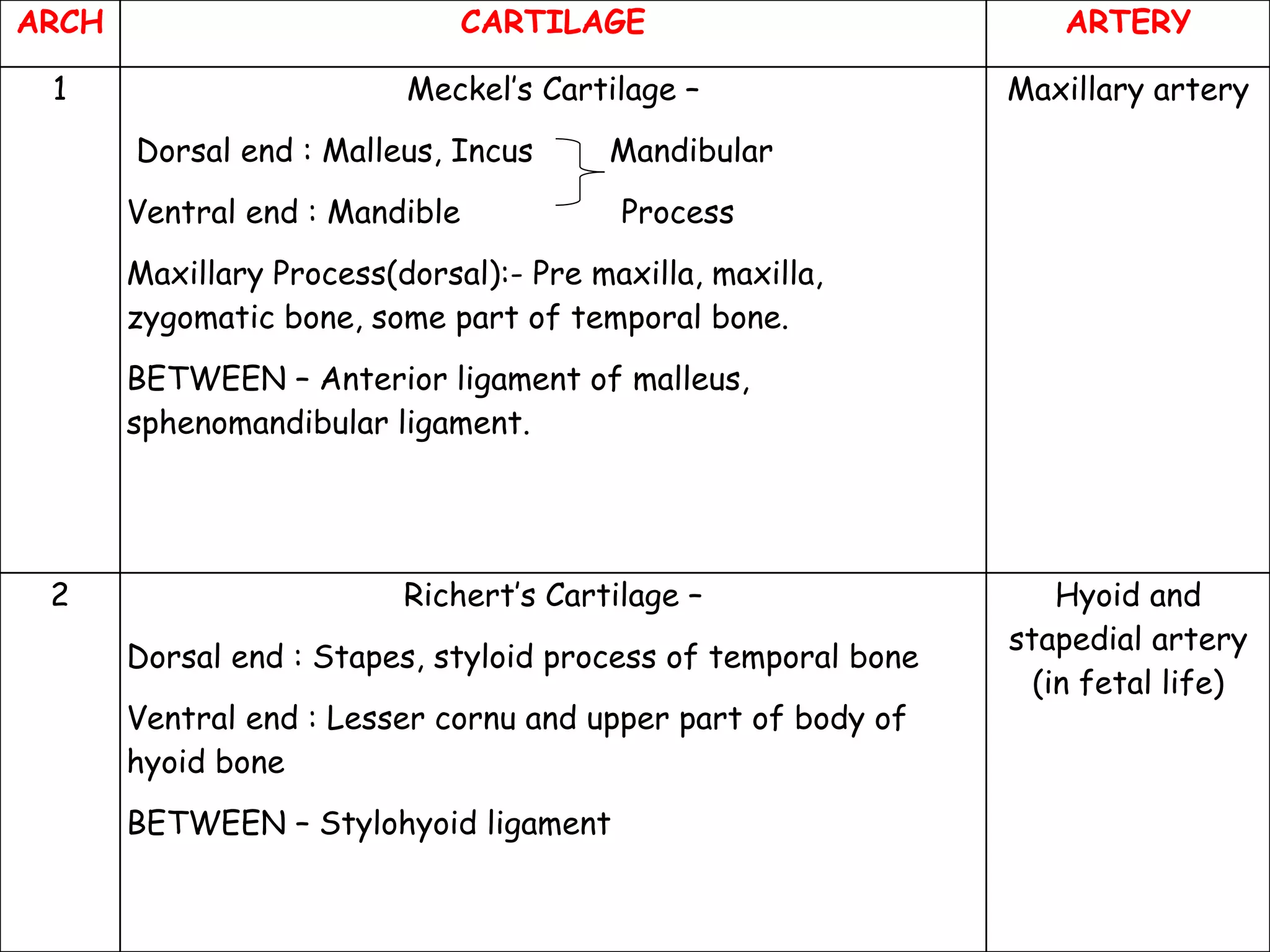 Pharyngeal apparatus | PPTX