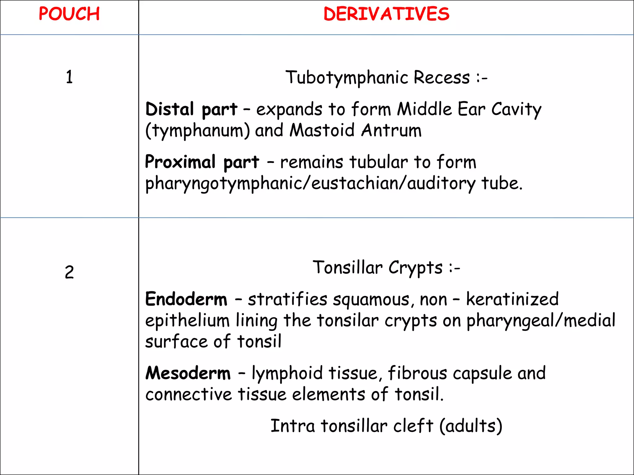 Pharyngeal apparatus | PPTX