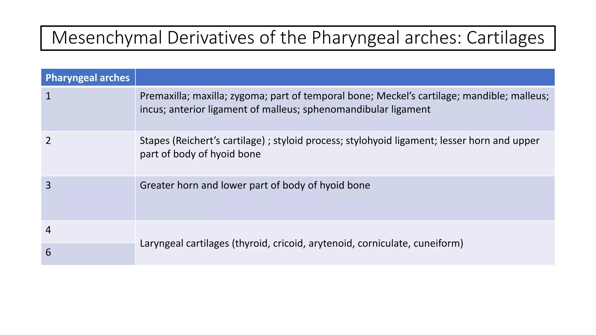 Pharyngeal Apparatus .pptx