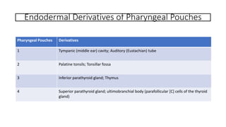 Pharyngeal Apparatus .pptx