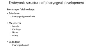 Pharyngeal Apparatus .pptx