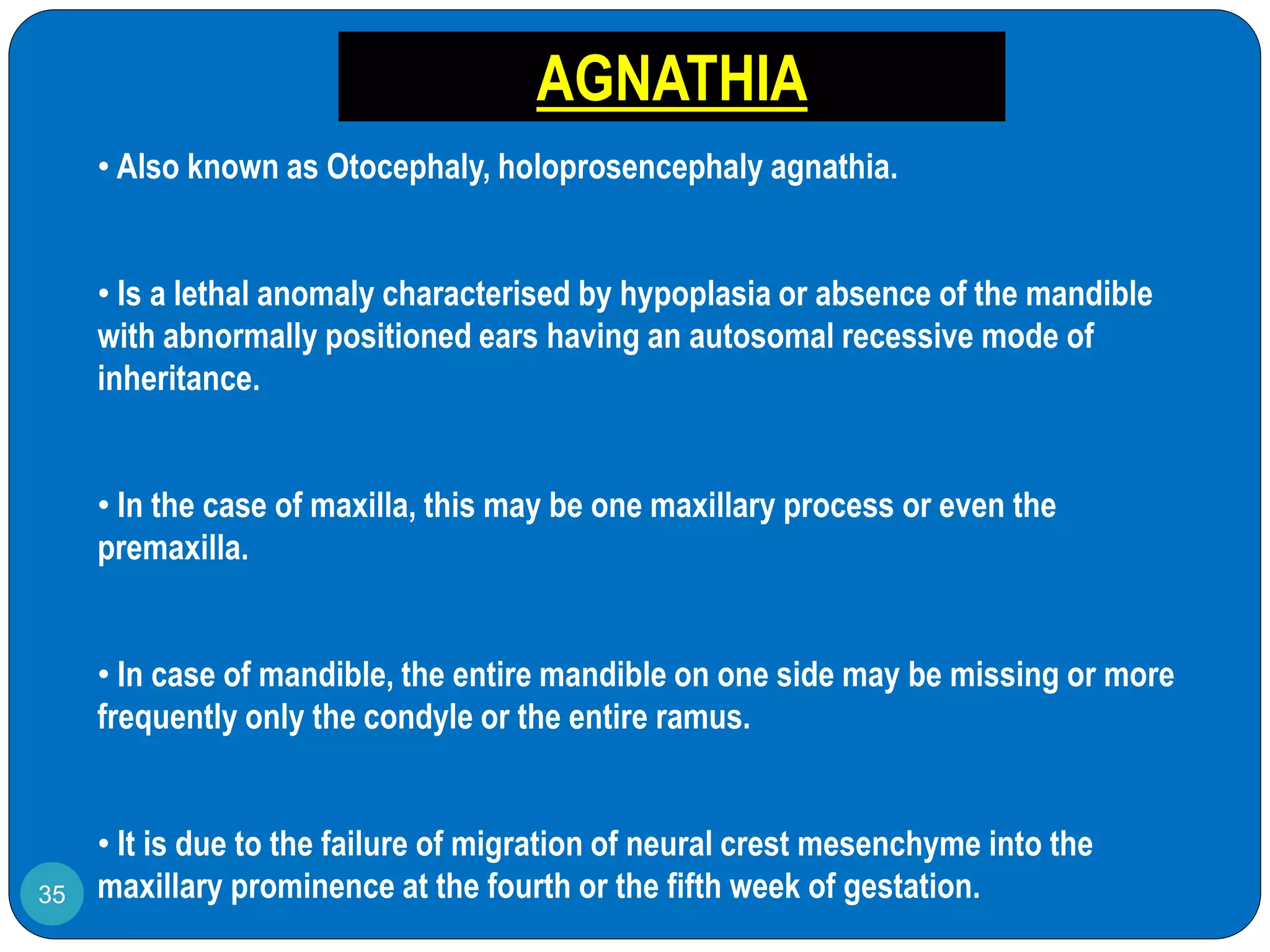 Pharyngeal arches | PPTX