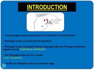 Pharyngeal arches | PPTX