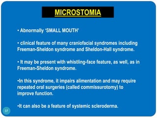 Pharyngeal arches | PPT