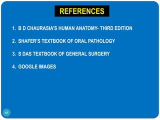 Pharyngeal arches | PPT