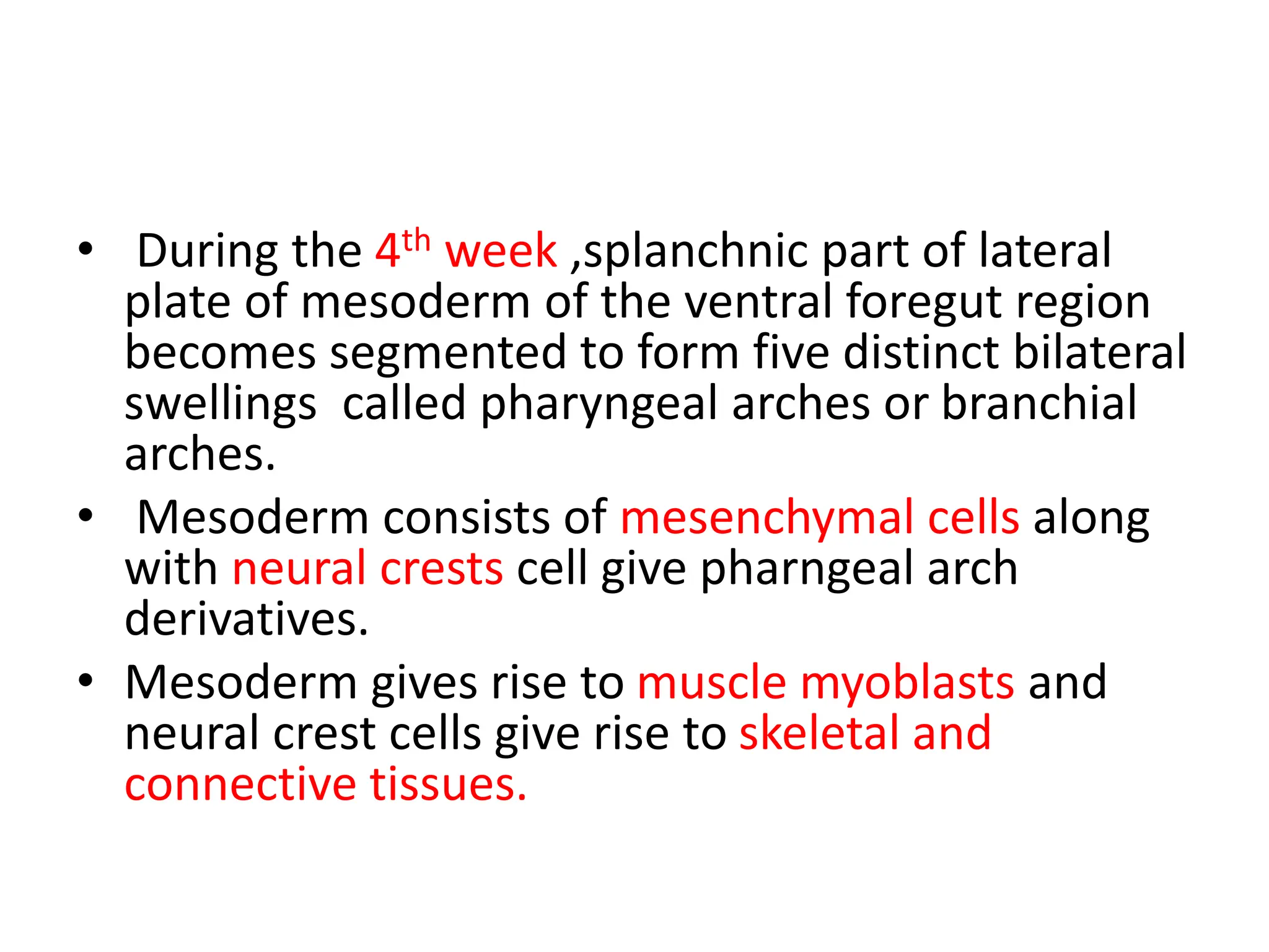pharyngeal arches.pptx