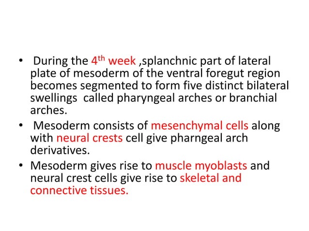 pharyngeal arches.pptx