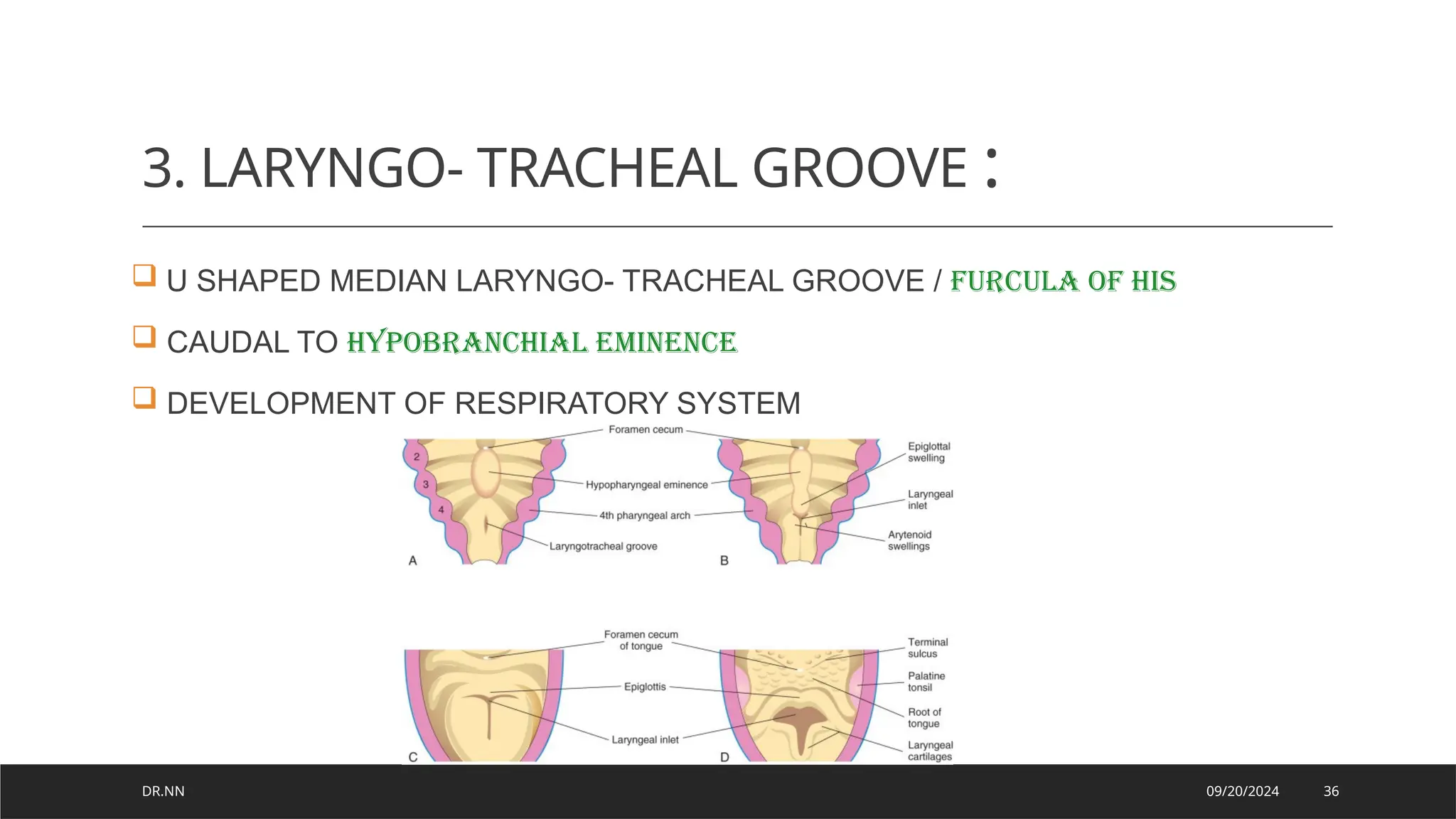 Development of Pharyngeal arches and derivatives.pptx