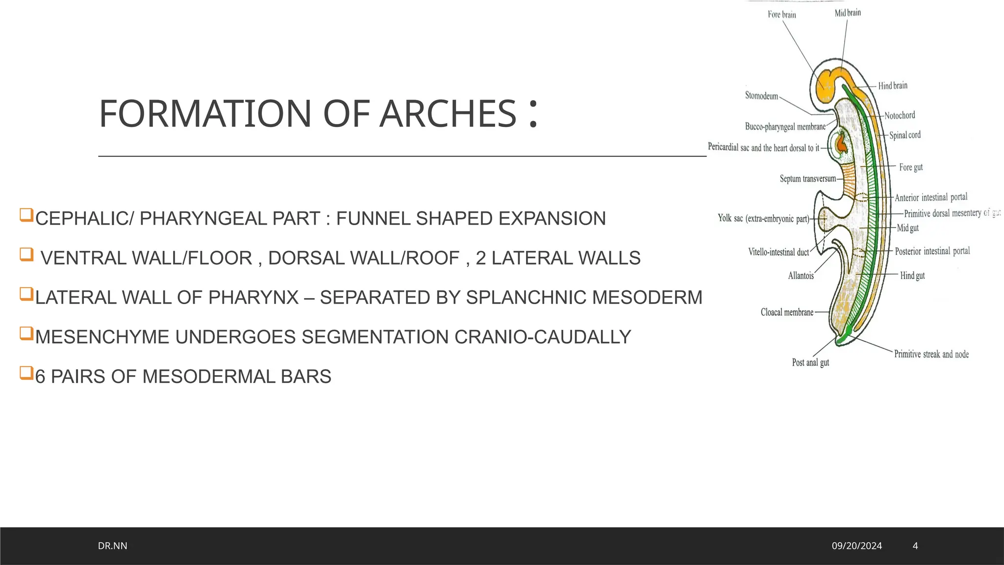 Development of Pharyngeal arches and derivatives.pptx