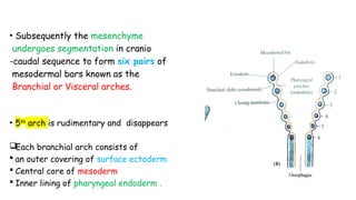 PHARYNGEAL ARCHES , POUCHES , MEMBRANE AND CLEFT | PPTX