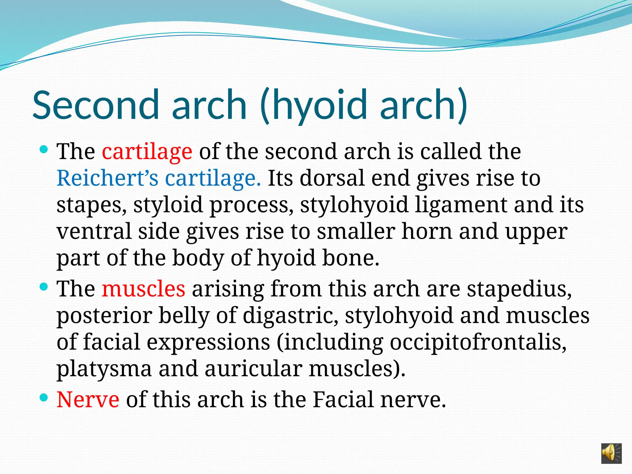 DEVELPOMENT OF pharyngeal arches DURING EMBYONIC STAGE.pptx