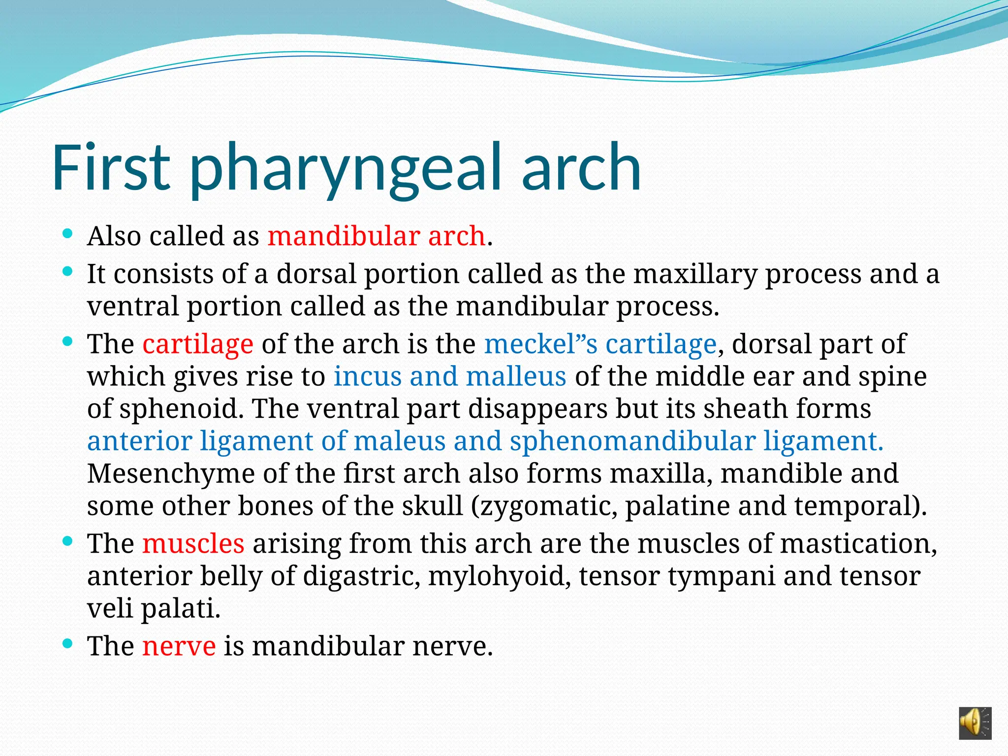 DEVELPOMENT OF pharyngeal arches DURING EMBYONIC STAGE.pptx