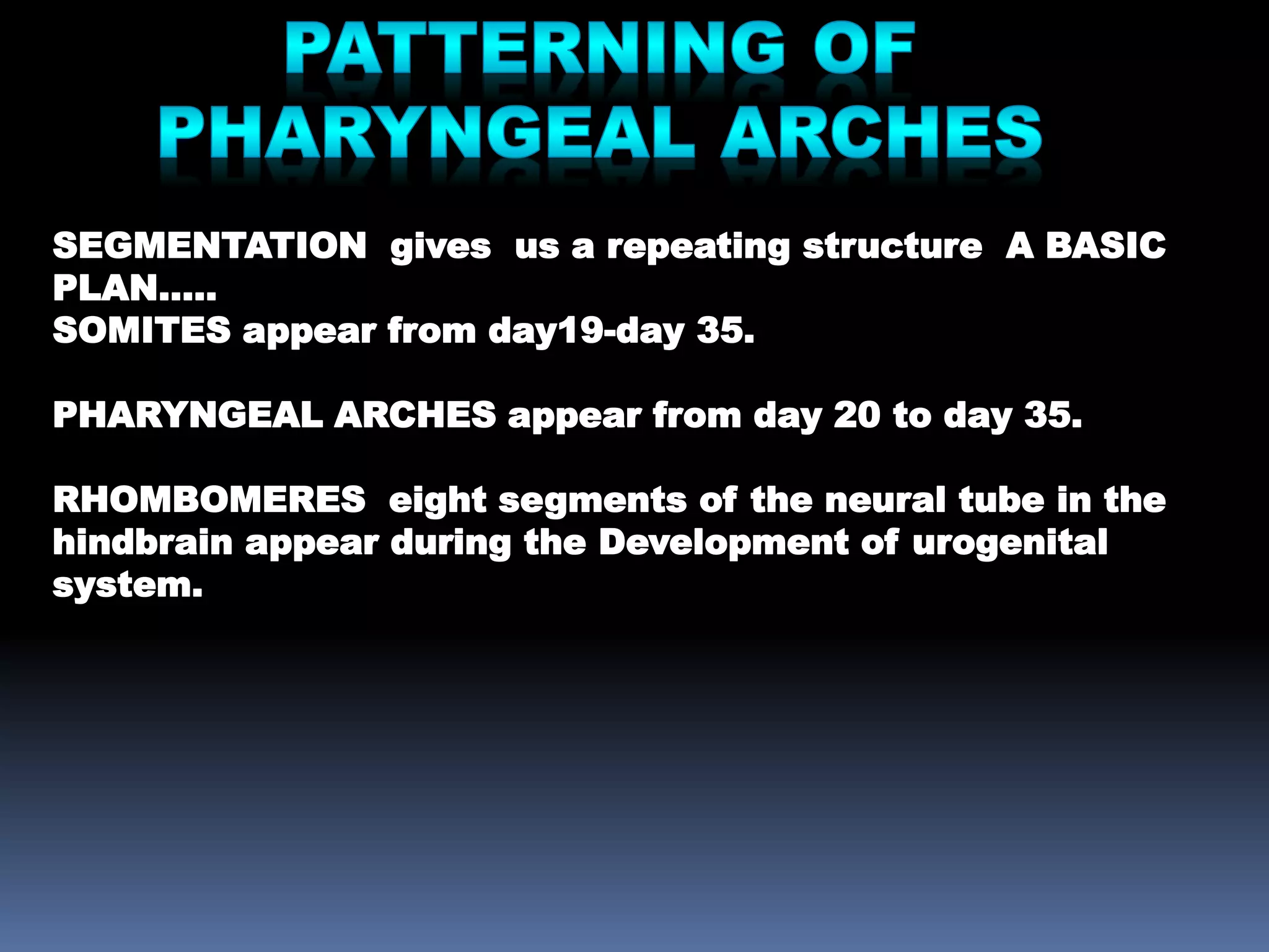Pharyngeal arches 1 | PPTX