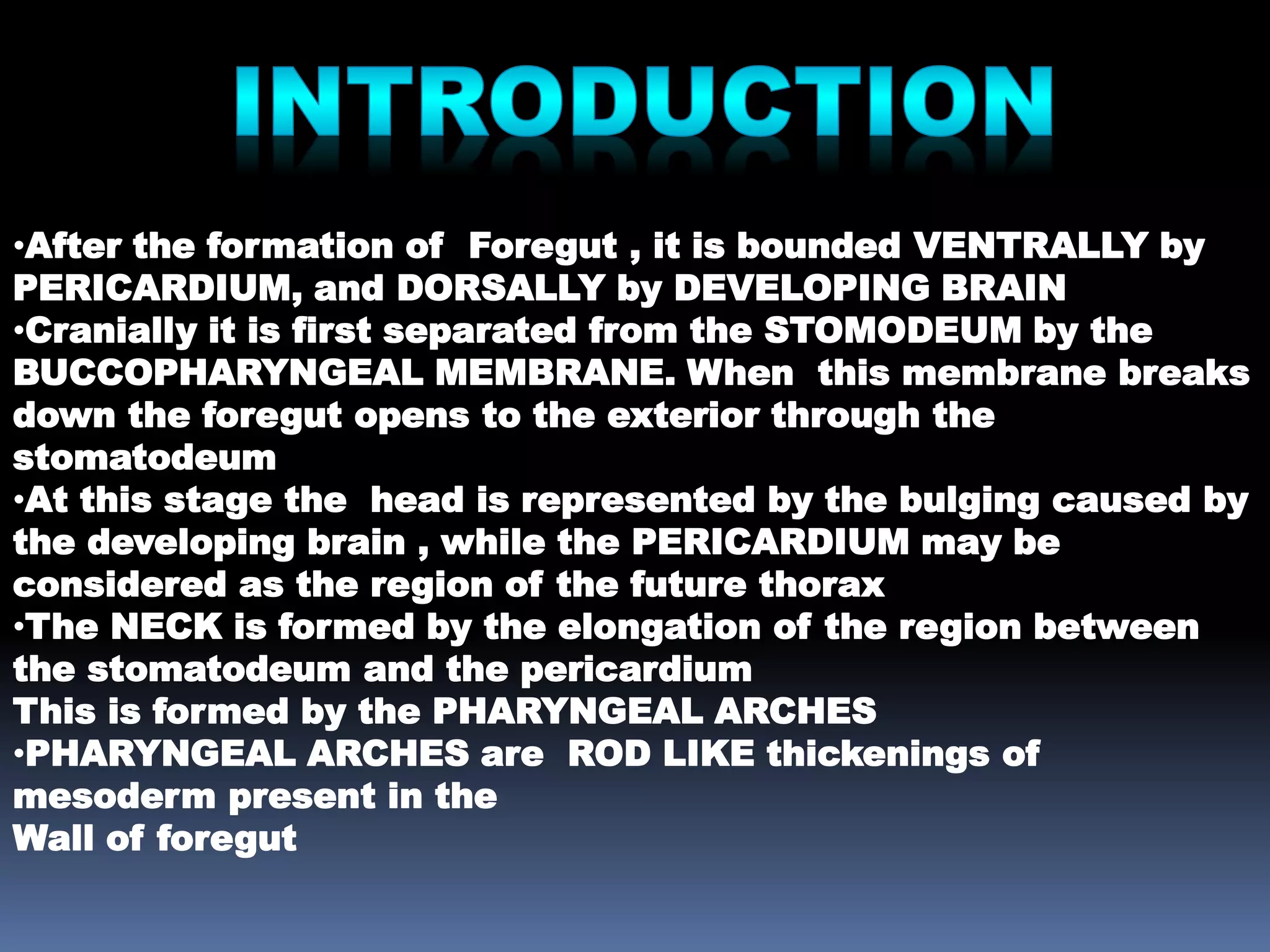 Pharyngeal arches 1 | PPTX