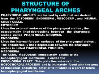 Pharyngeal arches 1 | PPTX