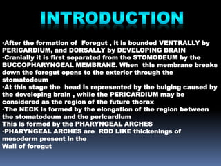 Pharyngeal arches 1 | PPTX