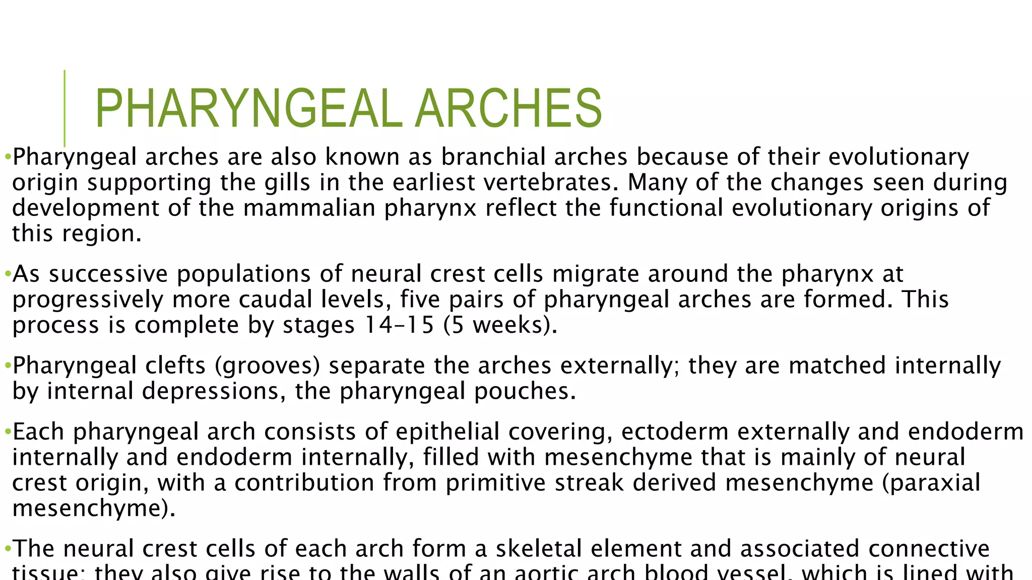 Pharyngeal arches and its anomaly | PPTX