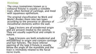 Pharyngeal arches and its anomaly | PPTX