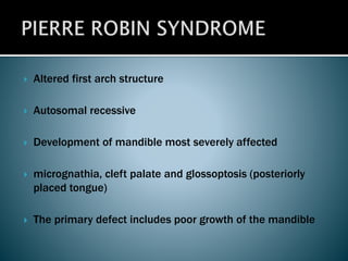 Pharyngeal arches and pouches | PPTX