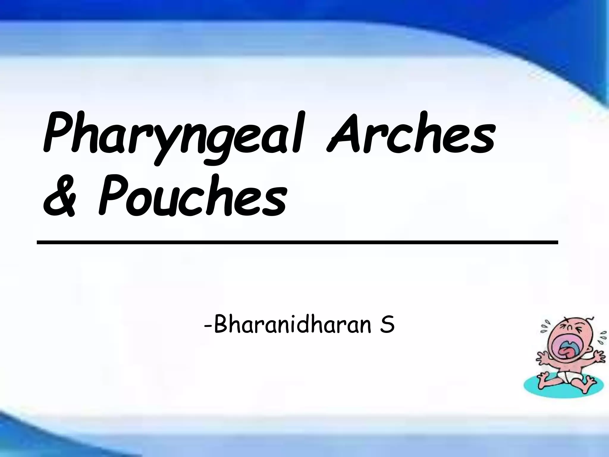 Development of Pharyngeal arches and pouches ppt | PPTX