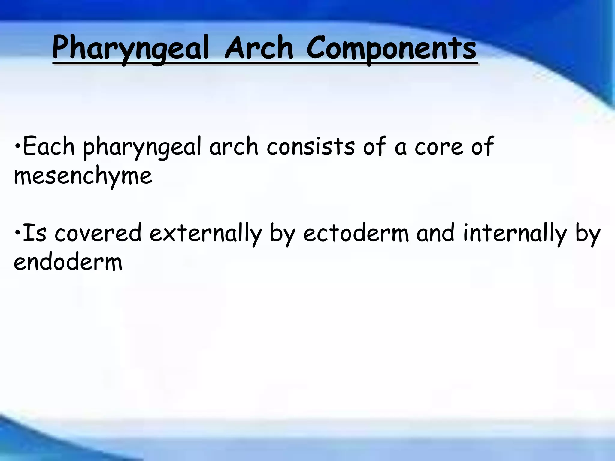 Development of Pharyngeal arches and pouches ppt | PPTX