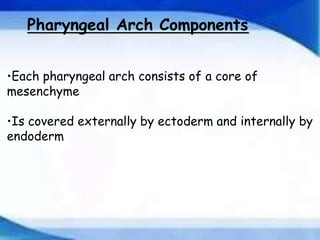 Development of Pharyngeal arches and pouches ppt | PPTX