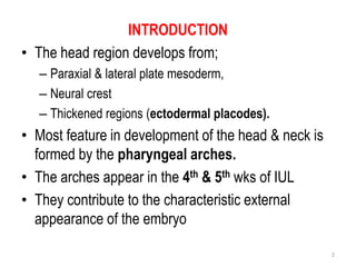 Pharyngeal Arches, Pouches and clefts-1.pptx