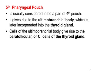 Pharyngeal Arches, Pouches and clefts-1.pptx