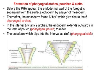 Pharyngeal Arches, Pouches and clefts-1.pptx