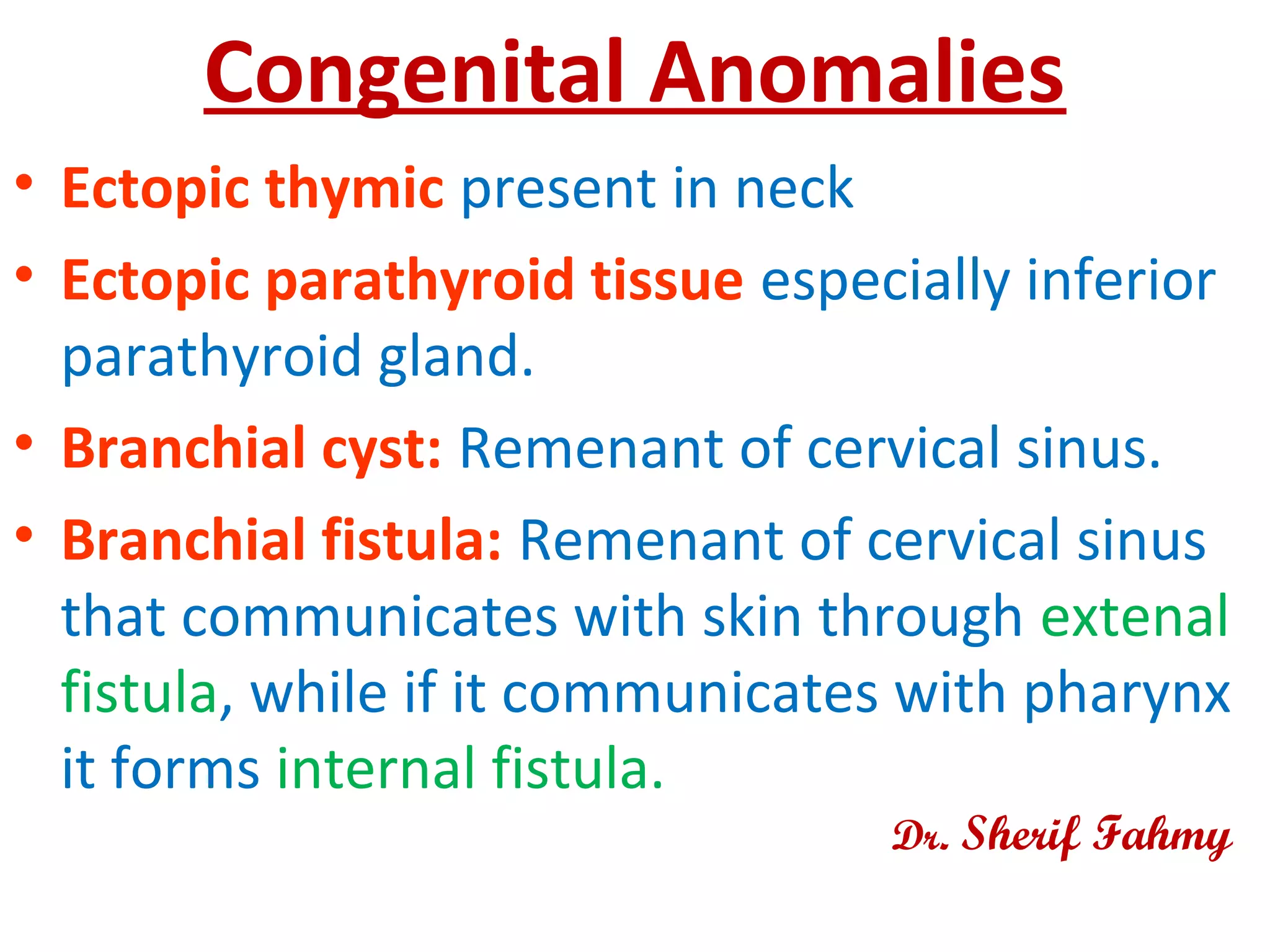 Pharyngeal "Branchial" Arches (Special Embryology) | PPS