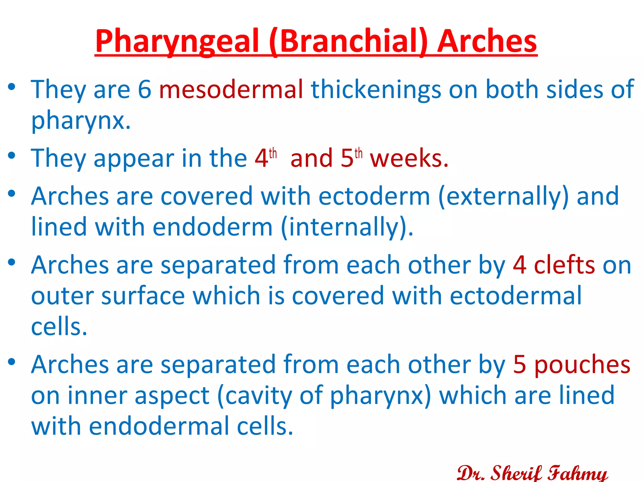 Pharyngeal "Branchial" Arches (Special Embryology) | PPS