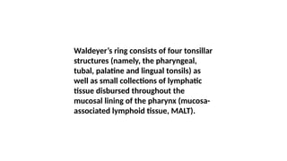 Pharyngeal lymphoid rings anatomy .pptx