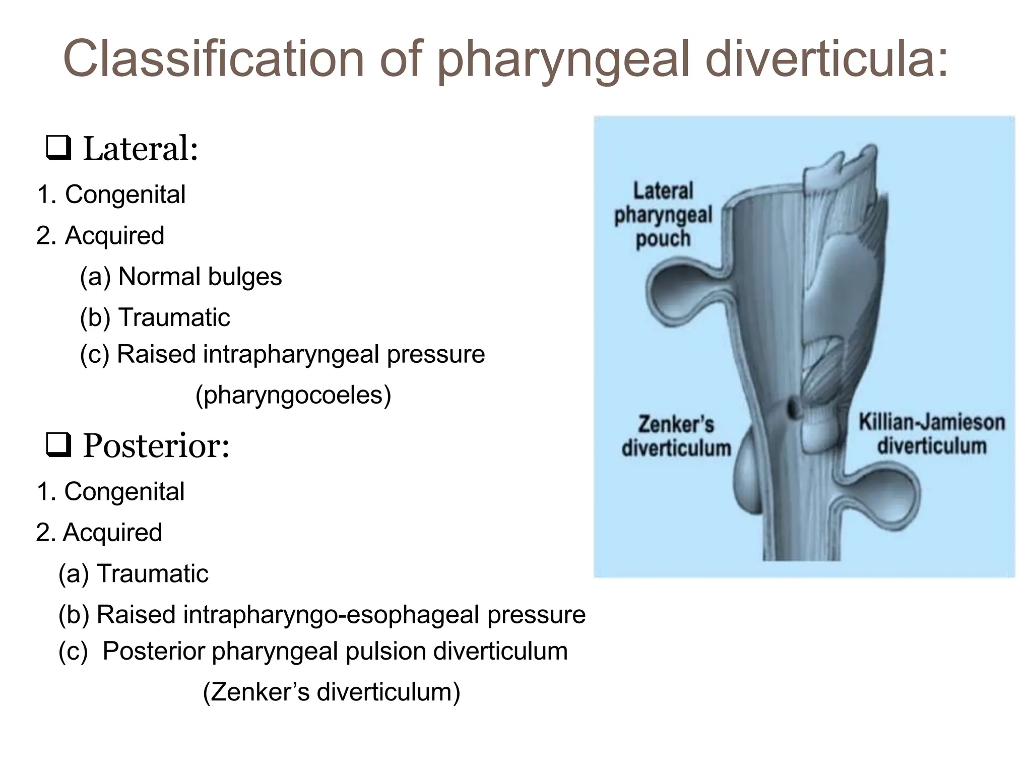 pharyngeal pouches uttam, pharyngoceles, laryngoceles.pptx