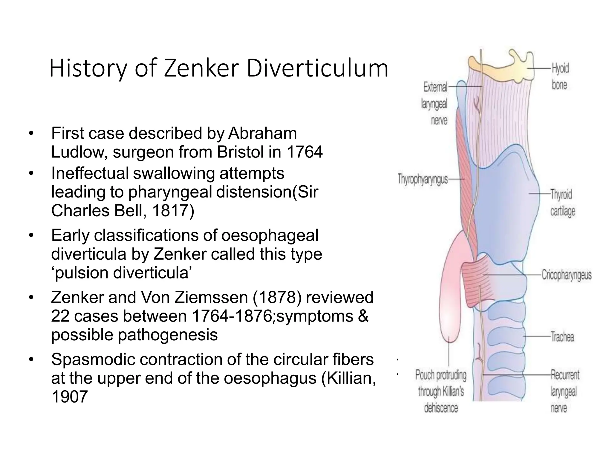 pharyngeal pouches uttam, pharyngoceles, laryngoceles.pptx