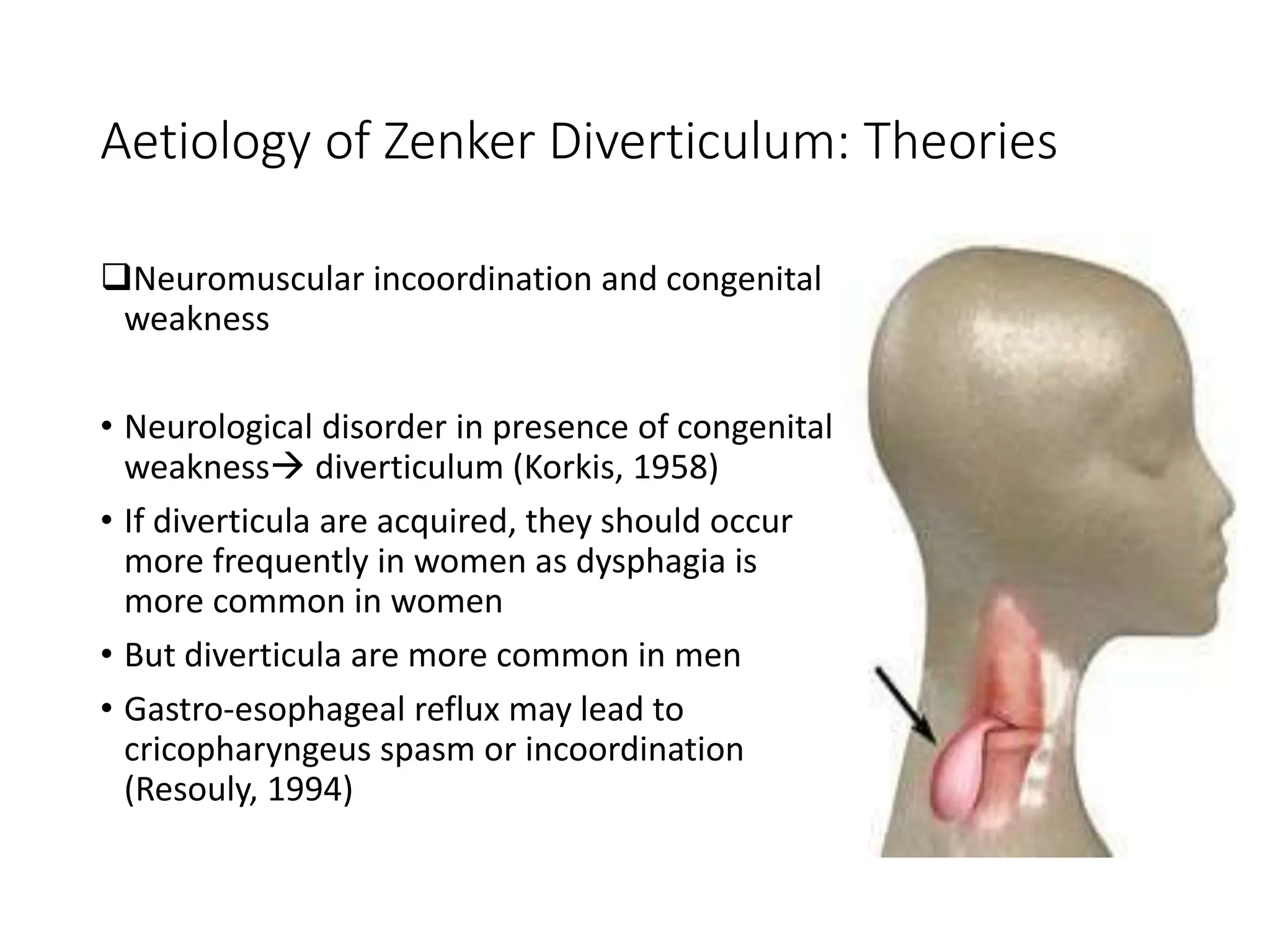 pharyngeal pouches uttam, pharyngoceles, laryngoceles.pptx