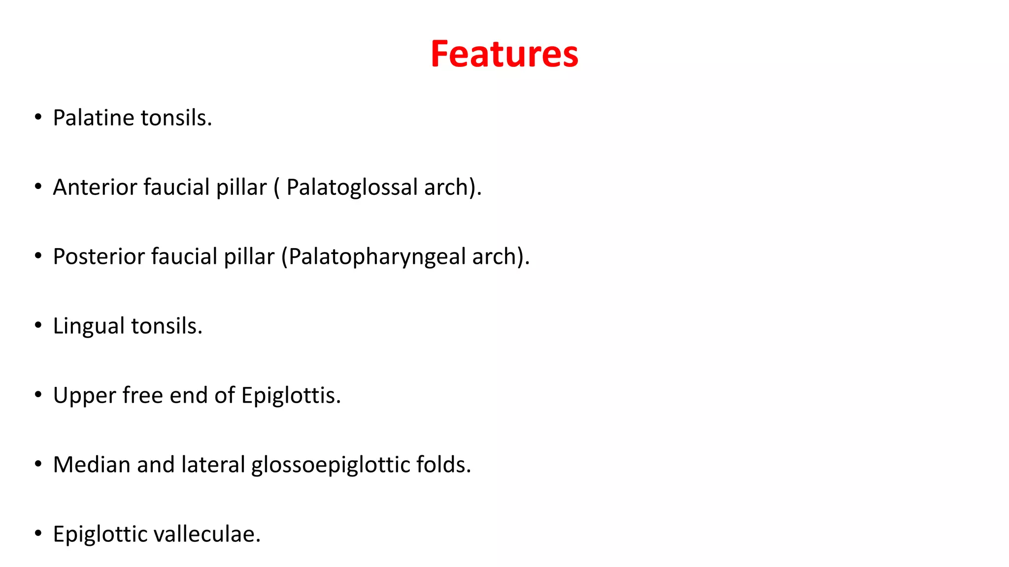Anatomy of Pharynx | PPTX