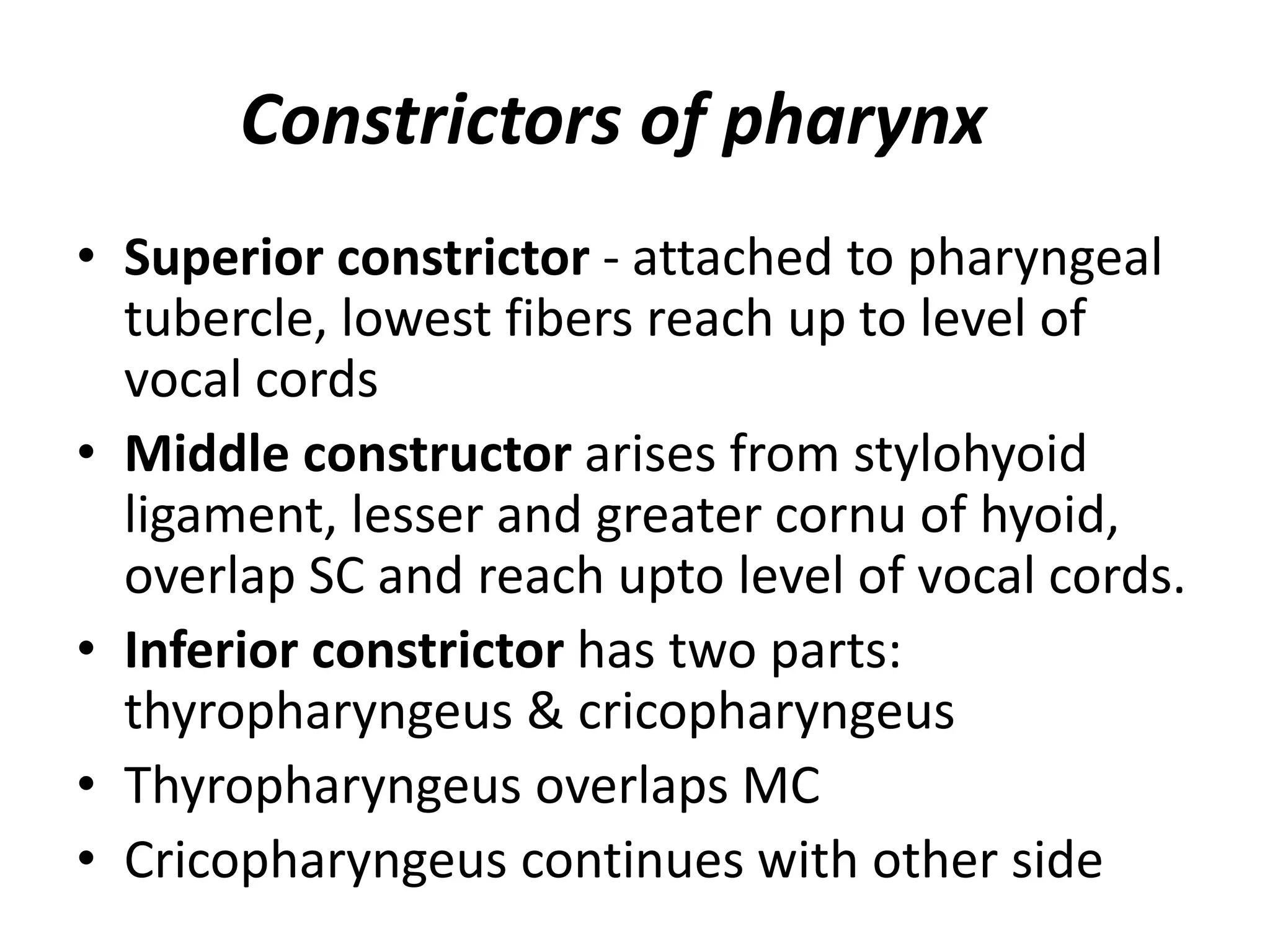 Pharynx | PPTX