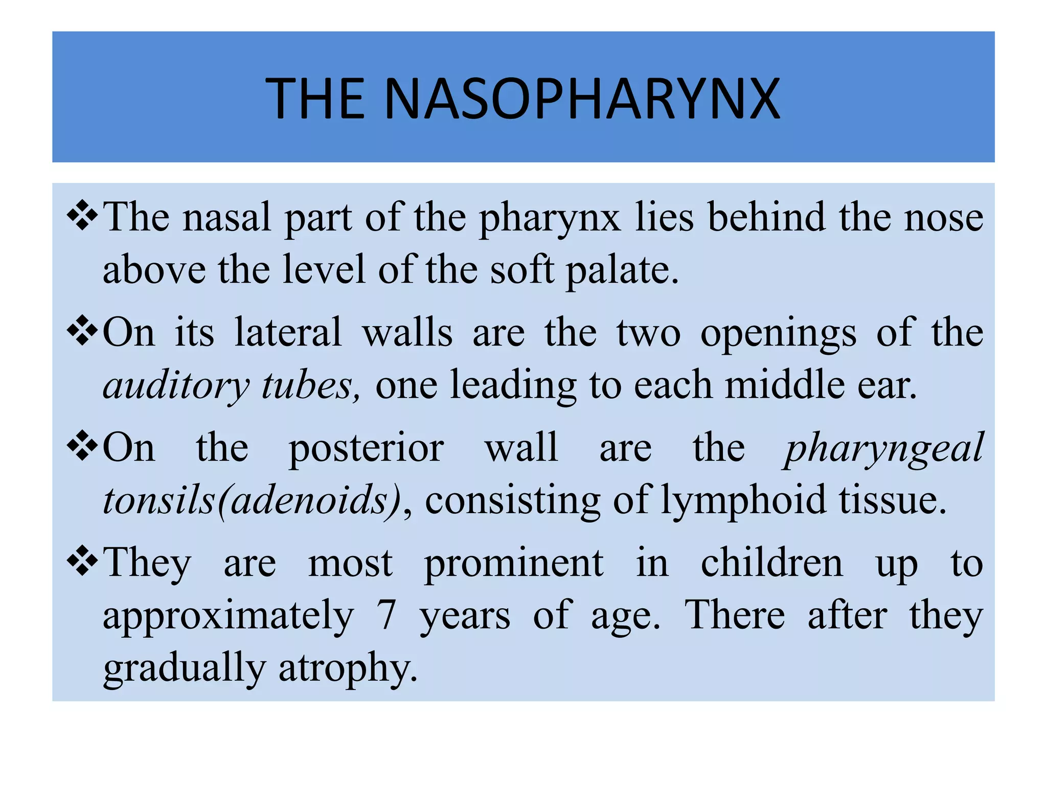 Pharynx ANATOMY AND PHYSIOLOGY | PPTX