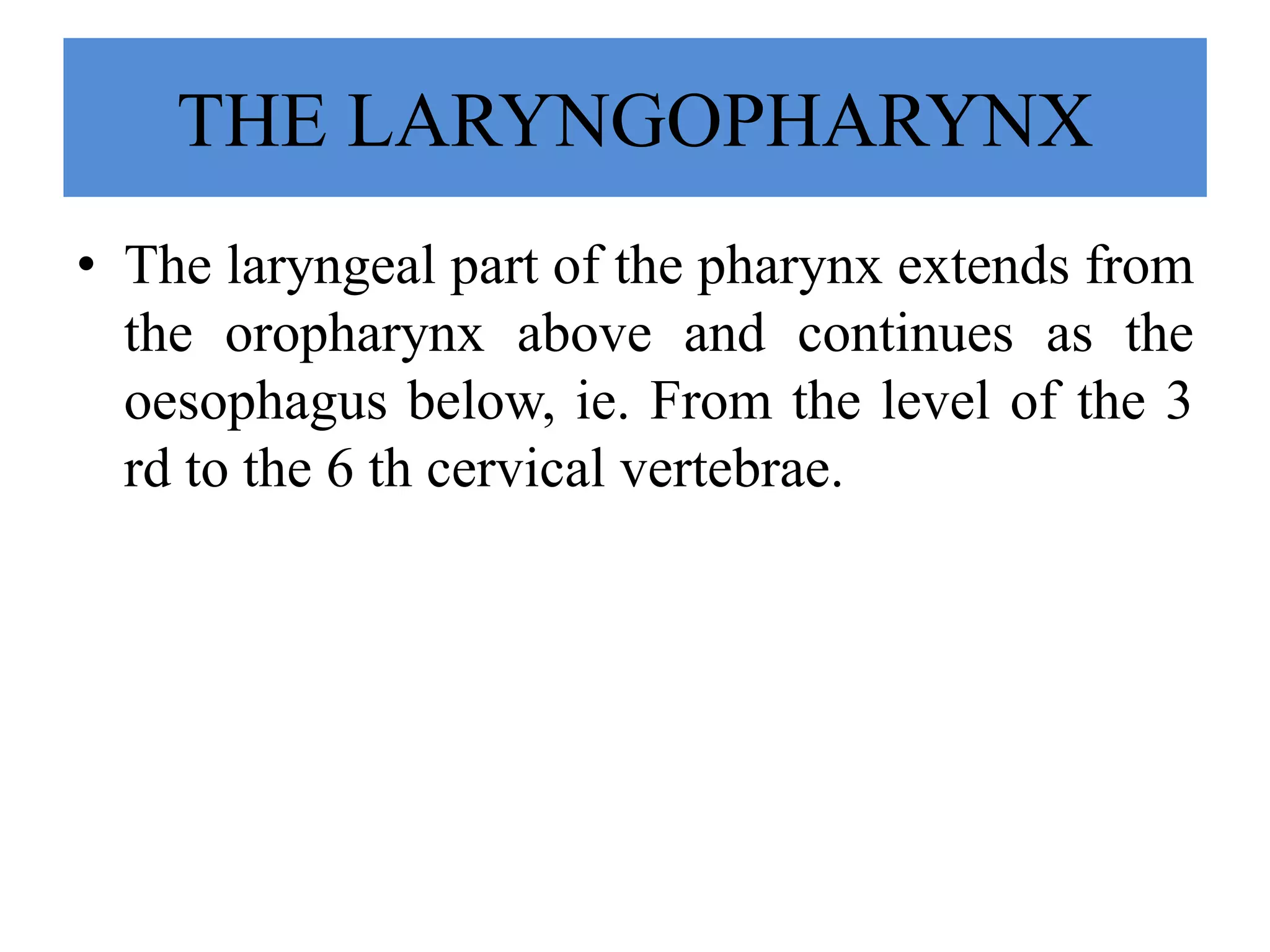 Pharynx ANATOMY AND PHYSIOLOGY | PPTX