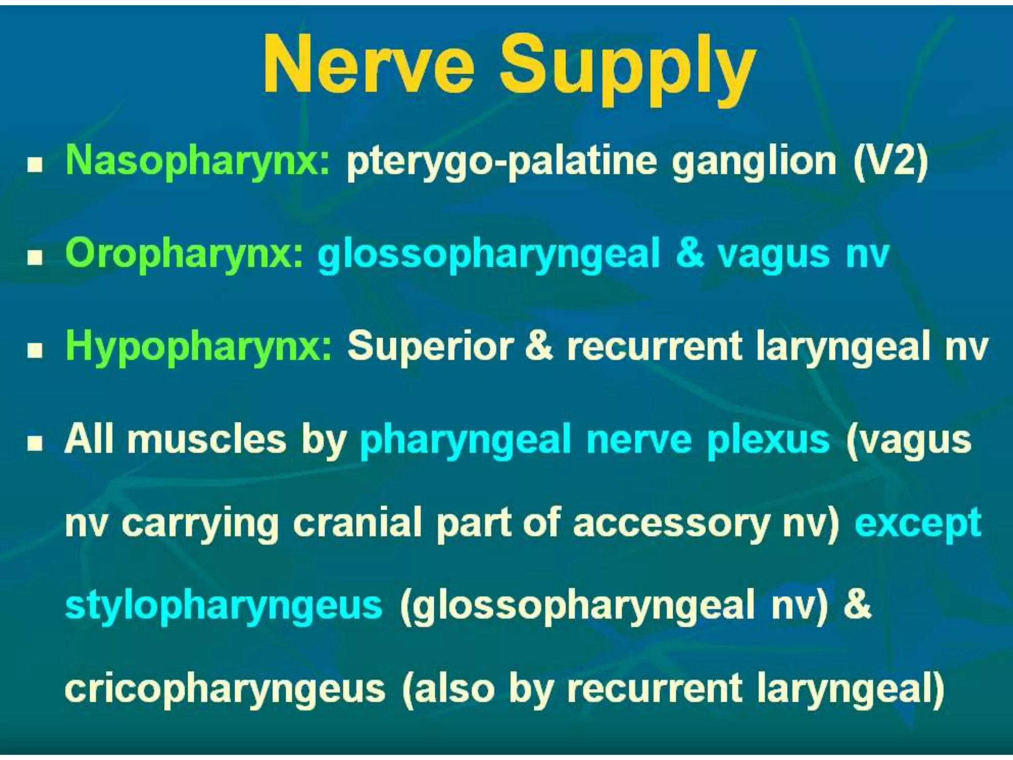Pharynx ANATOMY AND PHYSIOLOGY | PPTX