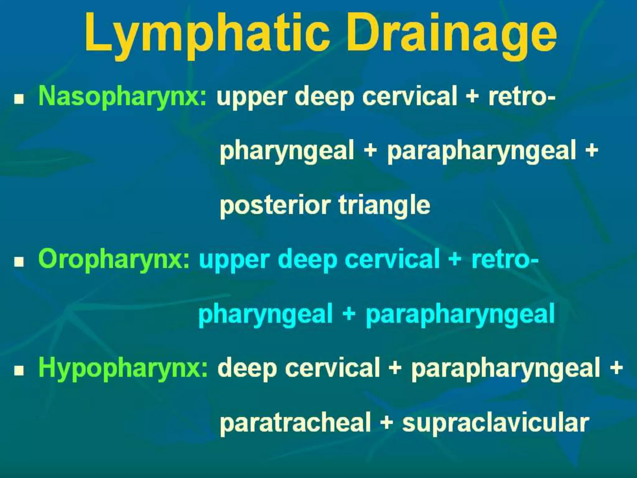 Pharynx ANATOMY AND PHYSIOLOGY | PPTX | Ear, Nose and Throat Conditions | Diseases and Conditions