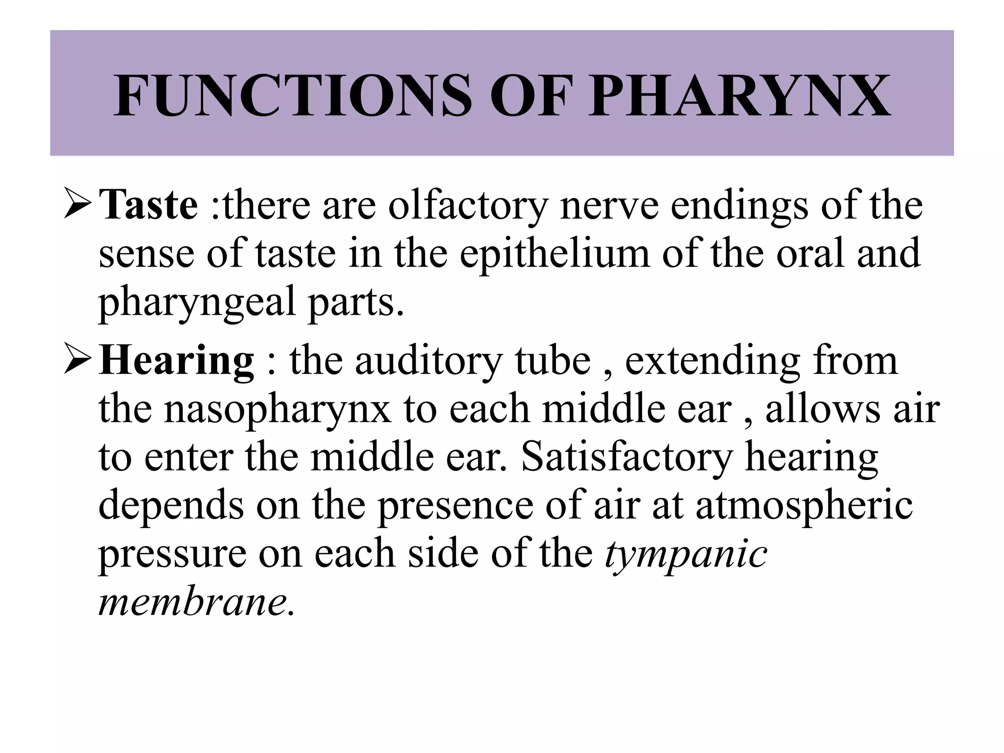 Pharynx ANATOMY AND PHYSIOLOGY | PPTX